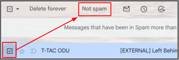 Reporting Spam in Your Gmail Account – CPS Help Desk